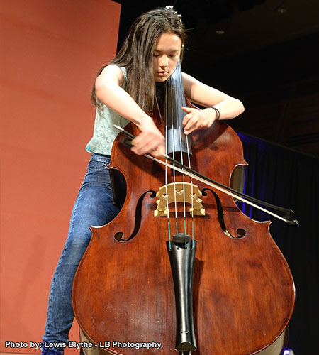 Double Bass Player