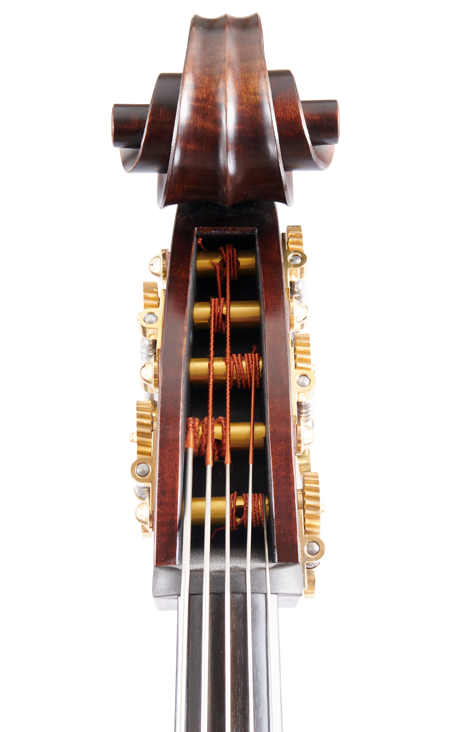Martin Ruggeri Double Bass