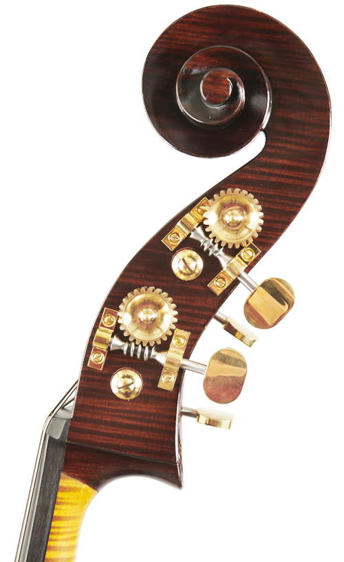 Martin 4/4 Double Bass for Sale