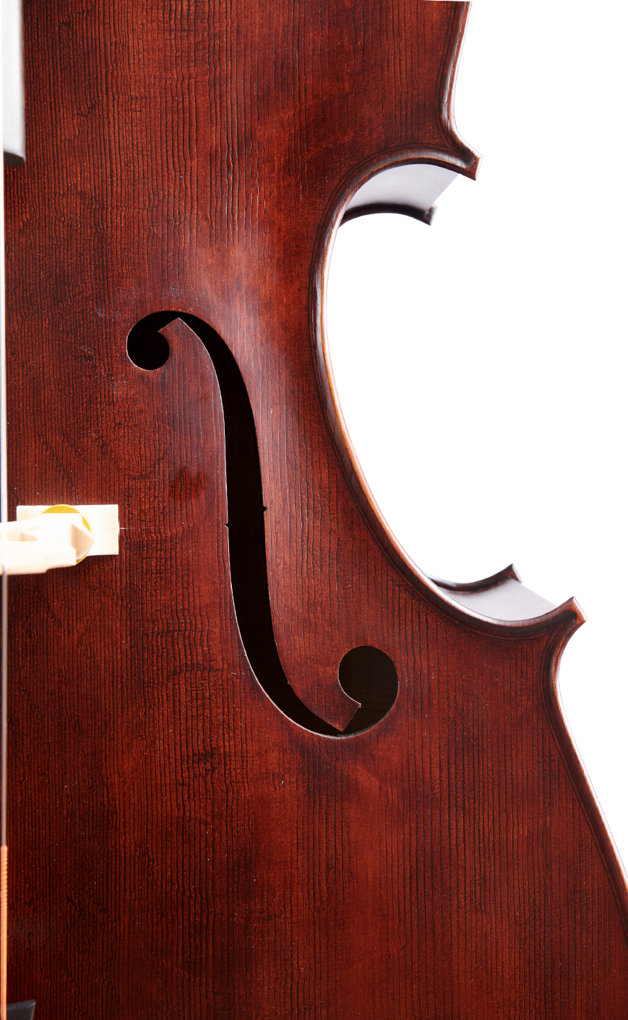Martin Ruggeri Double Bass