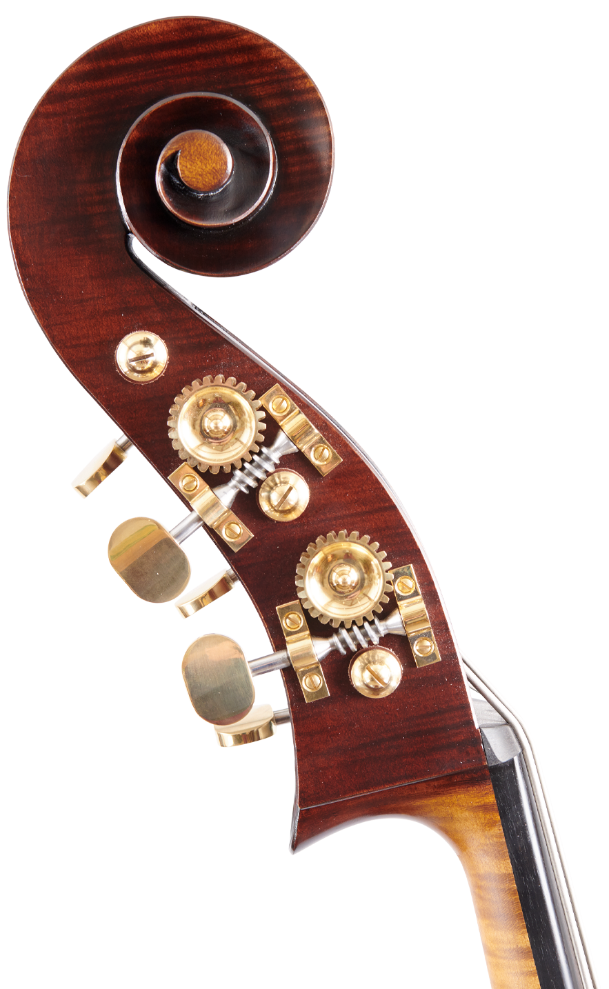 Martin Ruggeri Double Bass