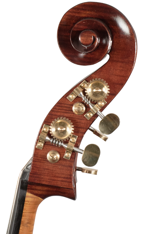 Martin Solo Double Bass for Sale