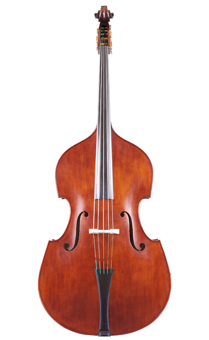 Martin Ruggeri Viol Double Bass