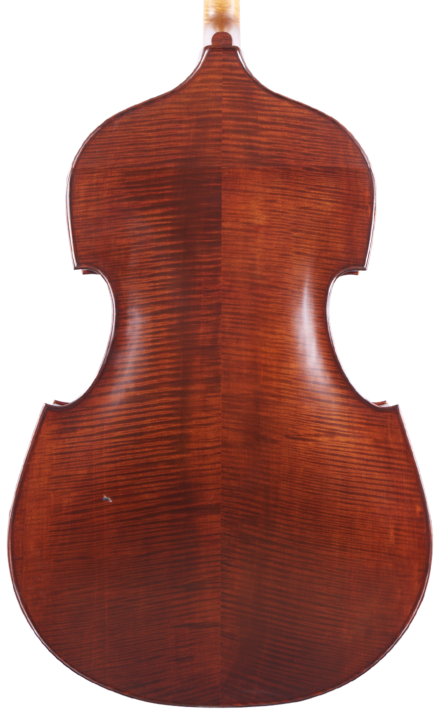 Martin Ruggeri Viol Double Bass
